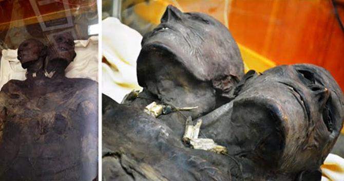 Kap Dwa, ființa misterioasă de peste 3,5 metri, cu două capete ...